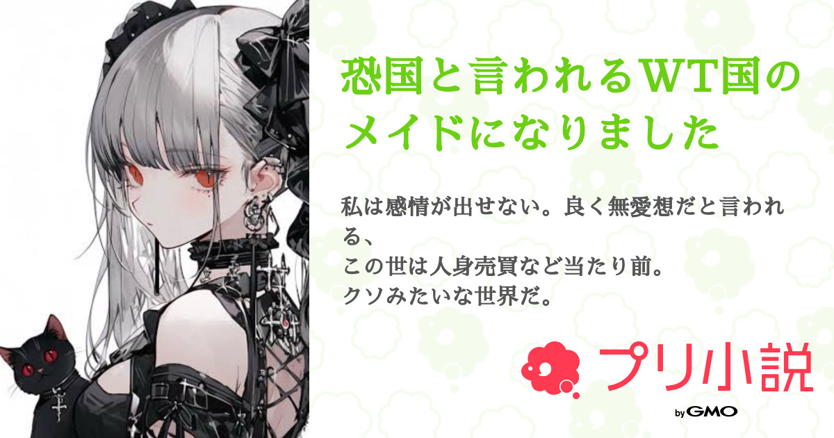 恐国と言われるWT国のメイドになりました - 全5話 【連載中】（airaさんの夢小説） | 無料スマホ夢小説ならプリ小説 byGMO